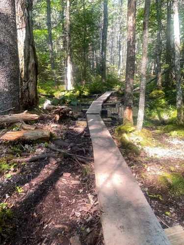 Best Hikes and Trails in Deer Isle | AllTrails
