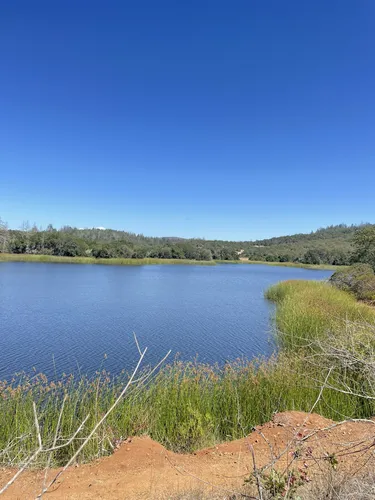 2023 Best Hard Trails in Trione-Annadel State Park | AllTrails