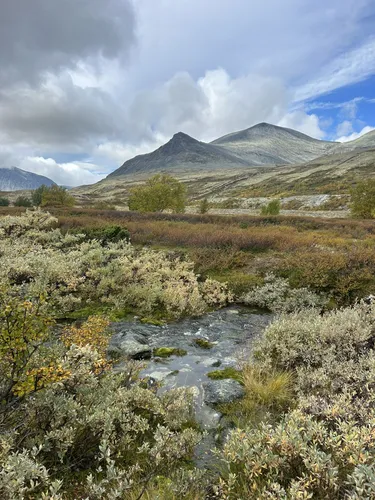 2023 Best 10 Forest Trails in Rondane National Park | AllTrails