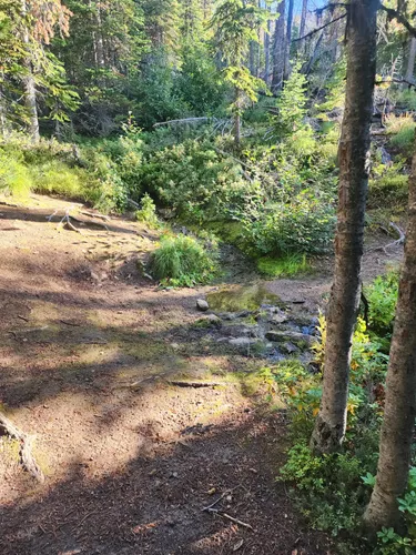 2023 Best Long Trails in Florence | AllTrails 2023 Best Long Trails in Florence | AllTrails