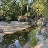 Spring Creek Nature Trail, Texas - 385 Reviews, Map | AllTrails