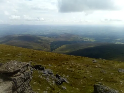 2023 Best Forest Trails in Kilcommon | AllTrails