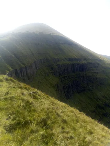 2023 Best Forest Trails in Kilcommon | AllTrails