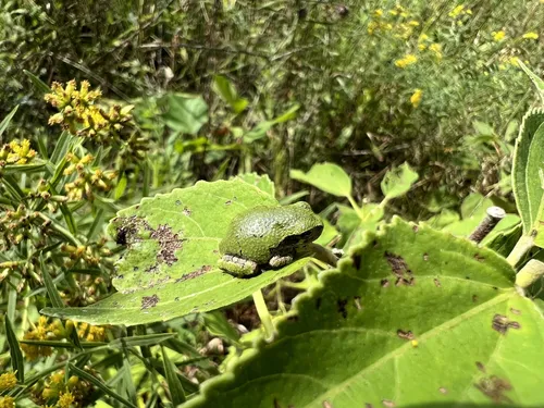 Best Hikes and Trails in Fernald Preserve | AllTrails