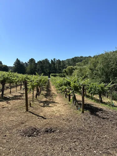 Best Hikes and Trails in Coal Mine Ridge Nature Preserve of Portola ...