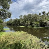Ten Mile Creek Nature Trail , Florida - 53 Reviews, Map | AllTrails