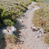 High Divide and Seven Lakes Basin Loop, Washington - 1,182 Reviews, Map ...