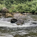 Goodwin Dam Recreation Area Trail, California - 74 Reviews, Map | AllTrails