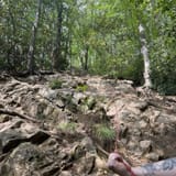 Compression Falls Trail, North Carolina - 384 Reviews, Map | AllTrails