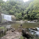 Compression Falls Trail, North Carolina - 384 Reviews, Map | AllTrails