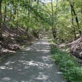 Rock Hollow Trail, Missouri - 1,324 Reviews, Map | AllTrails