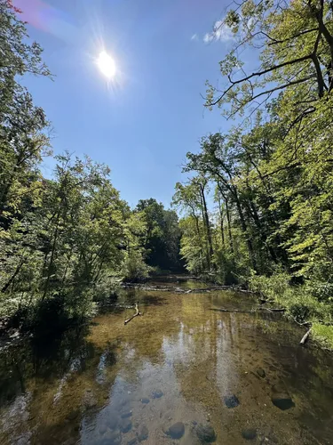 Best Hikes and Trails in Fred Russ State Forest | AllTrails