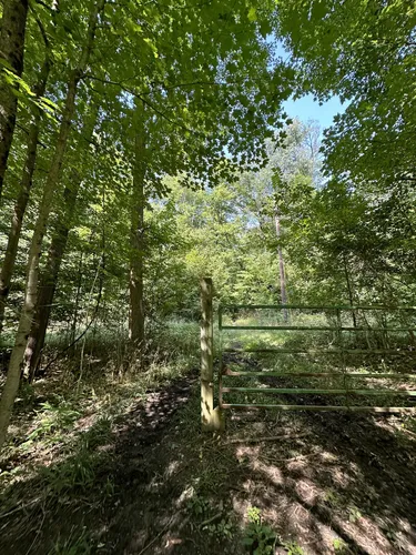 Best Hikes and Trails in Fred Russ State Forest | AllTrails