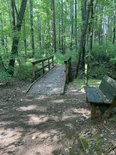 Best Hikes and Trails in Lake Benson Park | AllTrails