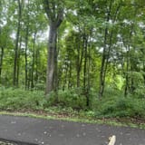 Knox and Kane Rail Trail, Pennsylvania - 11 Reviews, Map | AllTrails