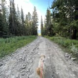 Goodwin Lake Trail, Wyoming - 363 Reviews, Map | AllTrails