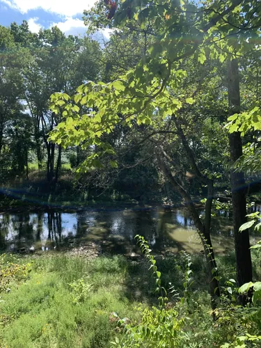 2023 Best Wildlife Trails in Uniondale | AllTrails