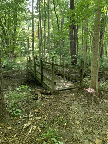 2023 Best Wildlife Trails in Uniondale | AllTrails