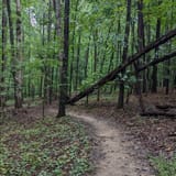 Dam Road, Issaqueena, Rocky and Collarbone Trail, South Carolina ...