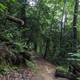 Dam Road, Issaqueena, Rocky and Collarbone Trail, South Carolina ...