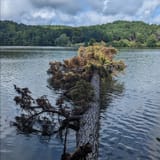 Dam Road, Issaqueena, Rocky and Collarbone Trail, South Carolina ...