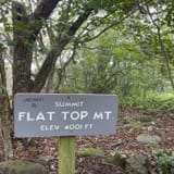 The Pinnacle and Flat Top Mountain, Virginia - 472 Reviews, Map | AllTrails