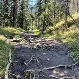 Moose Lake Loop, Alberta, Canada - 475 Reviews, Map | AllTrails
