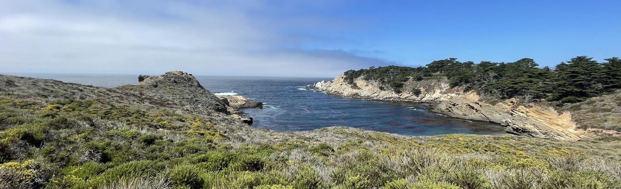 Sea Lion Point Trail, California - 344 Reviews, Map | AllTrails