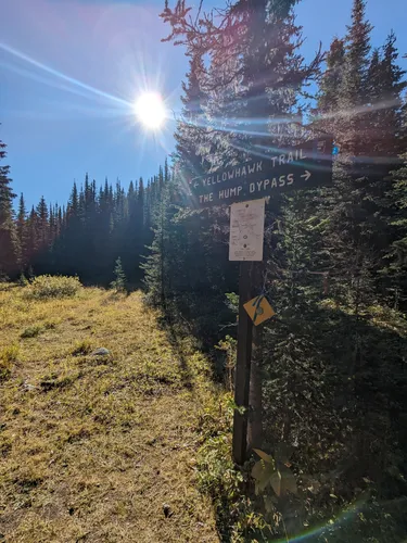 2023 Best Views Trails in Cariboo C | AllTrails