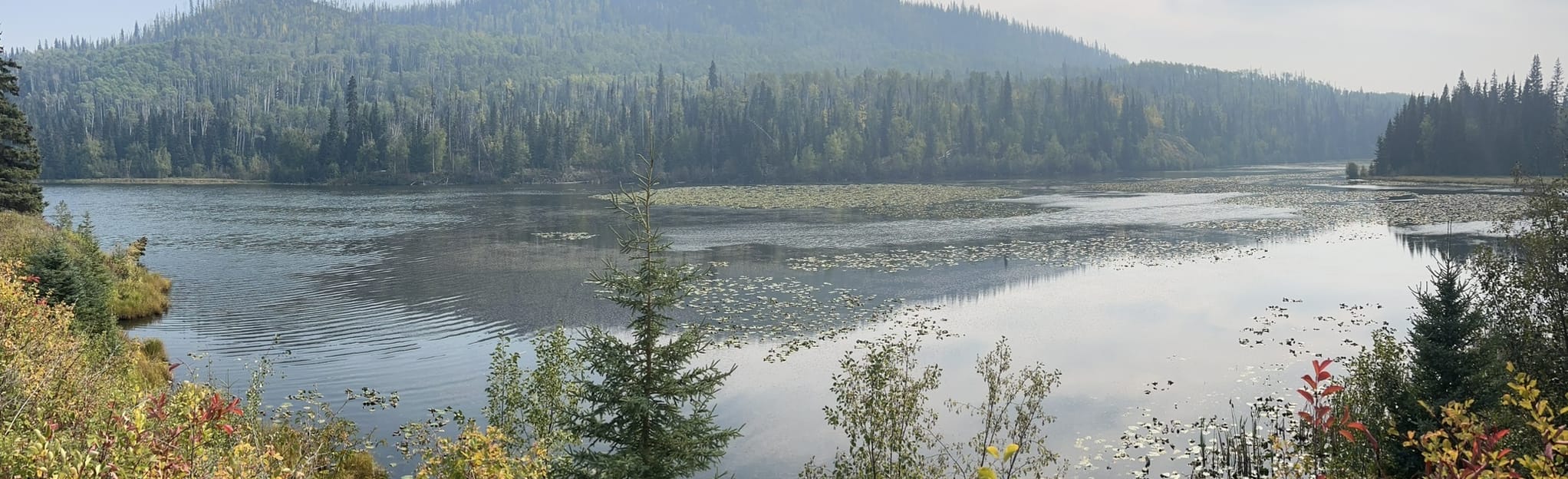 Burns Lake Provincial Park Loop: 11 fotos - Columbia Británica, Canadá ...