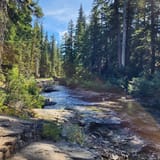 Cooper River Trail, Washington - 319 Reviews, Map | AllTrails
