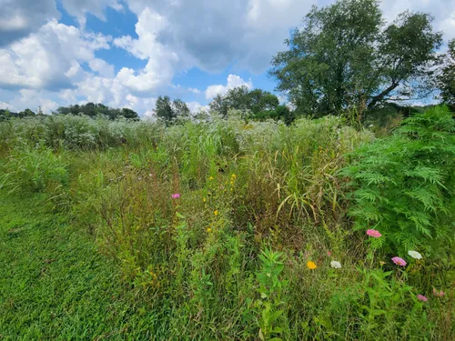 Best Hikes and Trails in North Hall Park | AllTrails