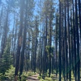 Morrell Falls National Recreation Trail, Montana - 507 Reviews, Map ...