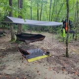 Pin-Chin-Sky Loop, Alabama - 677 Reviews, Map | AllTrails