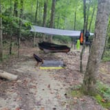 Pin-Chin-Sky Loop, Alabama - 677 Reviews, Map | AllTrails