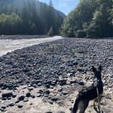 Skookum Flats Trail, Washington - 844 Reviews, Map | AllTrails