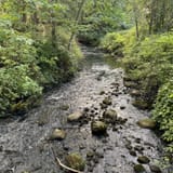 Skookum Flats Trail, Washington - 844 Reviews, Map | AllTrails