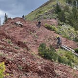 Wasatch Crest Trail, Utah - 363 Reviews, Map | AllTrails