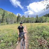 Wasatch Crest Trail, Utah - 363 Reviews, Map | AllTrails