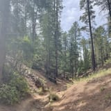 Chamisa Trail, New Mexico - 1,232 Reviews, Map | AllTrails