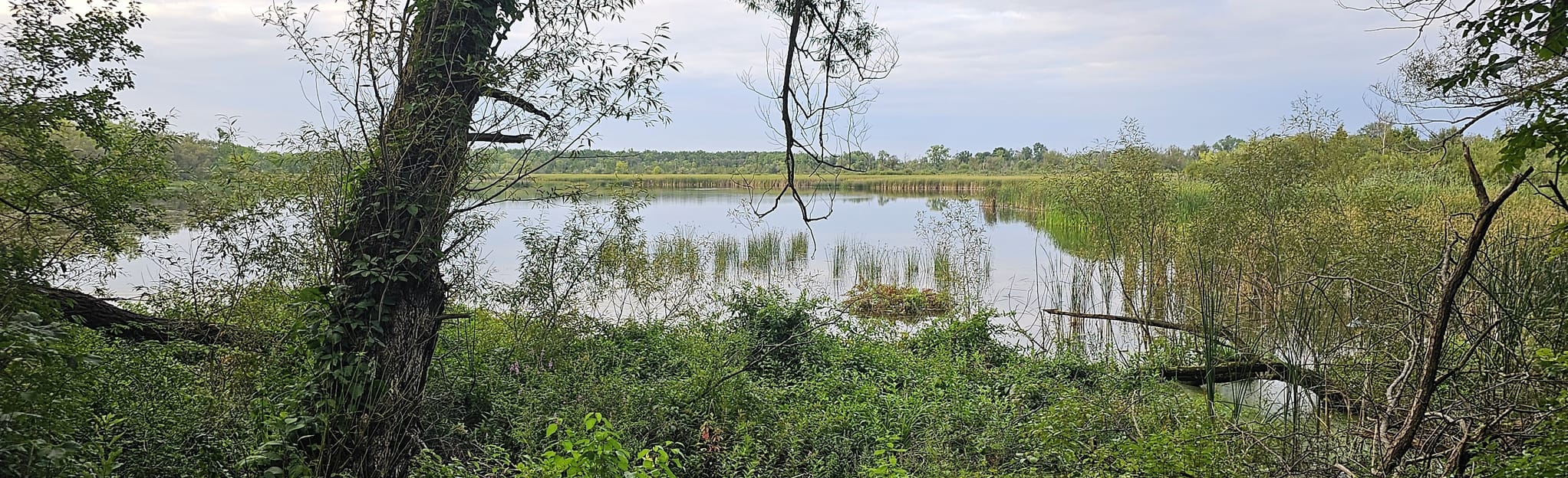 Blue Heron Trail: 148 foto's - Ontario, Canada | Wandelen - AllTrails