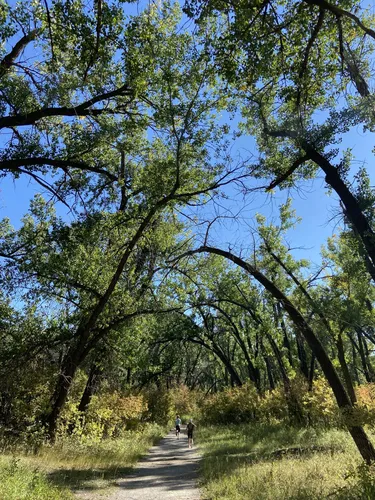 Best Hikes and Trails in Pavan Park | AllTrails