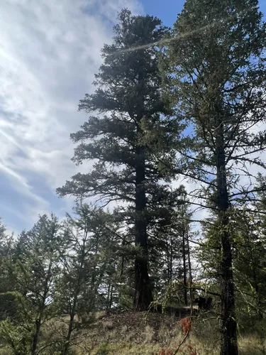 Best Hikes and Trails in Chasm Provincial Park | AllTrails