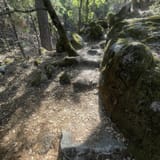 Way of the Mono Trail, California - 483 Reviews, Map | AllTrails