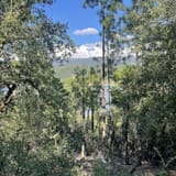 Way of the Mono Trail, California - 483 Reviews, Map | AllTrails