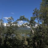 Way of the Mono Trail, California - 483 Reviews, Map | AllTrails