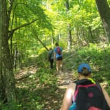 Redman Run Trail, West Virginia - 100 Reviews, Map | AllTrails