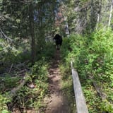 Sage Hen Reservoir Trail, Idaho - 55 Reviews, Map | AllTrails