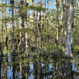 Loop Road Scenic Drive (County Road 94), Florida - 145 Reviews, Map ...