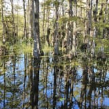 Loop Road Scenic Drive (County Road 94), Florida - 145 Reviews, Map ...